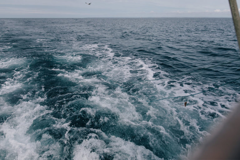 Falfish | Wholesale suppliers of sustainably sourced fresh Cornish fish ...