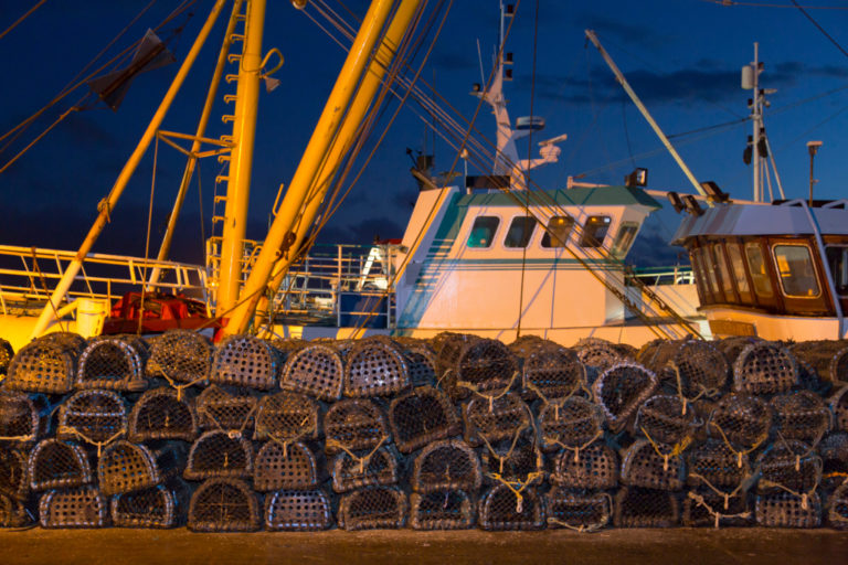 Falfish | Wholesale suppliers of sustainably sourced fresh Cornish fish ...