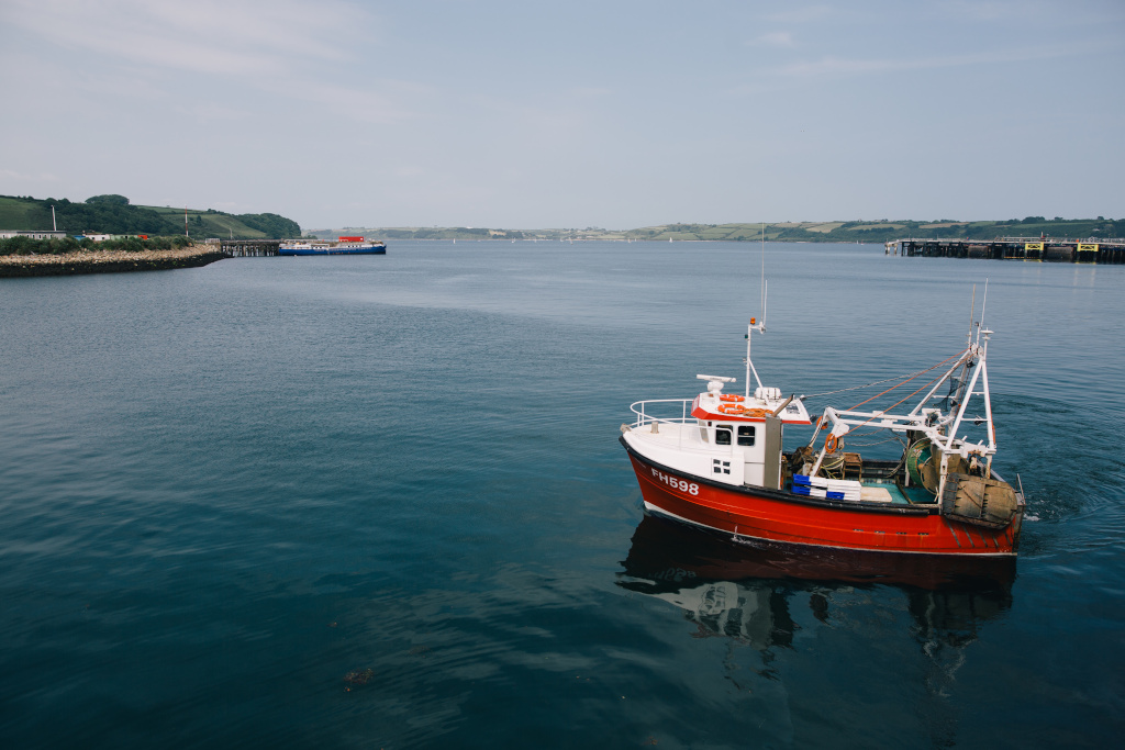 Falfish | Sourcing high quality Cornish seafood direct from suppliers ...